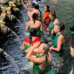 Ubud Village, Waterfall and Kintamani Volcano Private Tour - Why This Tour Offers Great Value