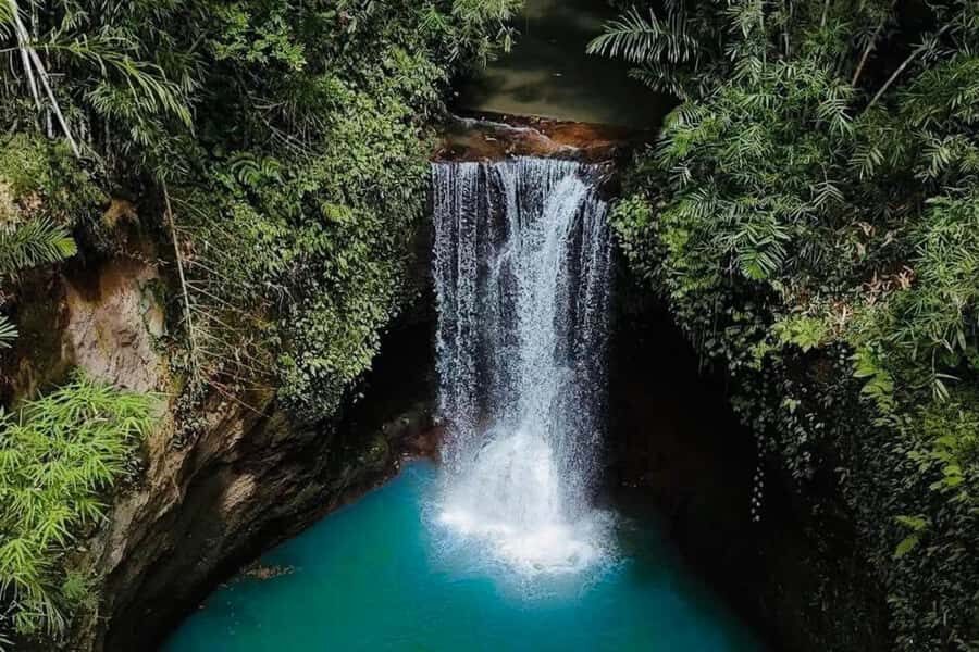 Ubud: Water Temple, Rice Terrace, Waterfall, Private Tour - The Experience: What Sets It Apart