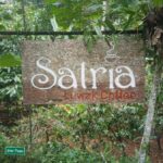 Ubud: Water Temple, Waterfalls and Rice Terrace Day Trip - What to Expect from Your Ubud Day Trip