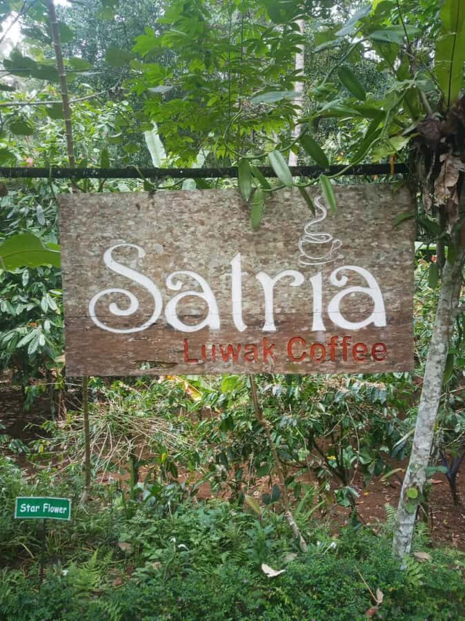 Ubud: Water Temple, Waterfalls and Rice Terrace Day Trip - What to Expect from Your Ubud Day Trip