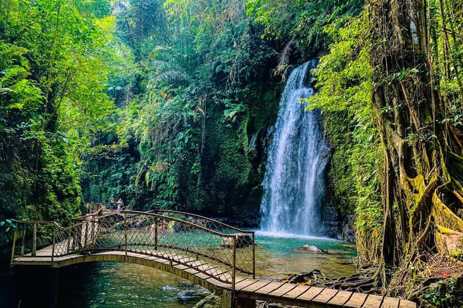 Ubud: Waterfalls, Sacred Monkey Forest & Rice Terraces Tour - The Balance of the Experience