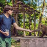 Ubud: Waterfalls, Temple, Monkey Forest Private Tour - The Full Itinerary Breakdown