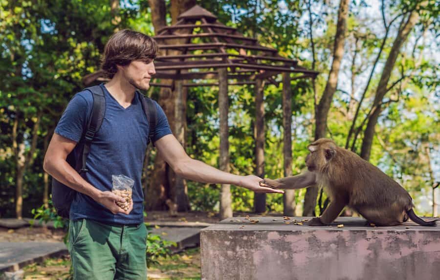 Ubud: Waterfalls, Temple, Monkey Forest Private Tour - The Full Itinerary Breakdown