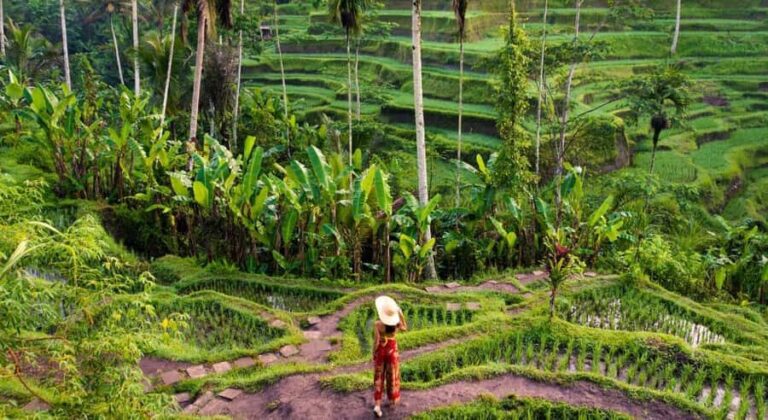 Ubud: Waterfalls, Temple & Rice Terraces Private Tour - What You Can Expect from the Tour