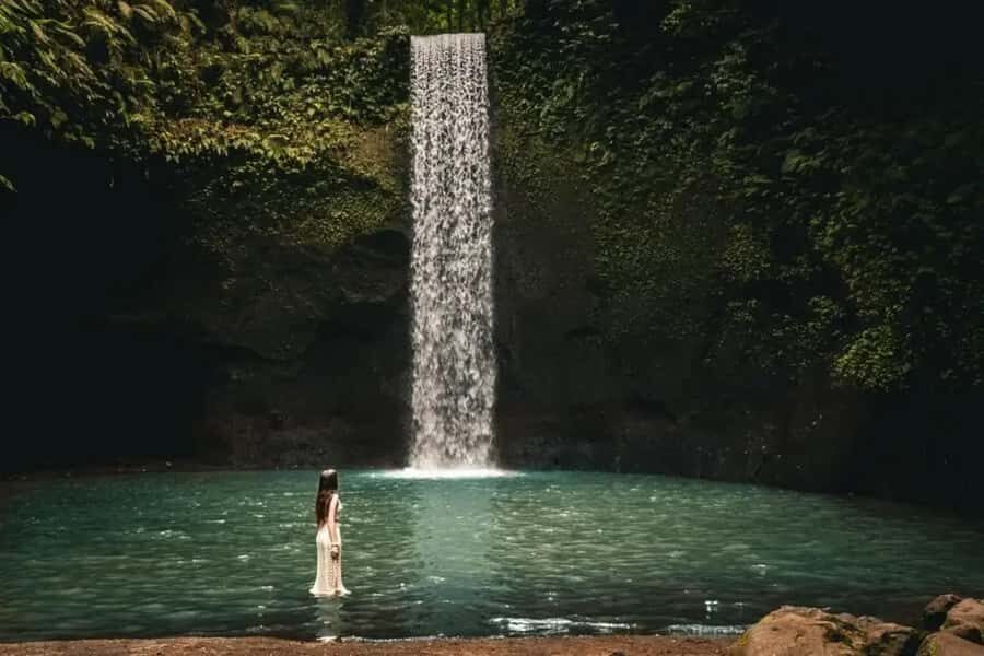 Ubud Waterfalls ,Tirta Mpul ,With Rice Terrace Private Tour - What Makes This Tour Stand Out?