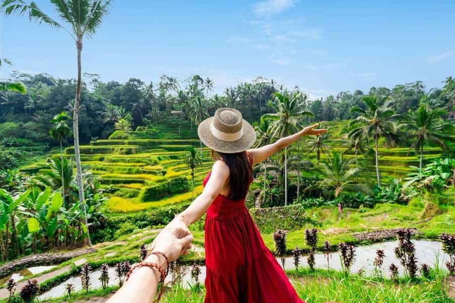 Ubud: Waterfalls, Water Temple & Monkey Forest Shared Tour - Detailed Review of the Ubud Day Tour