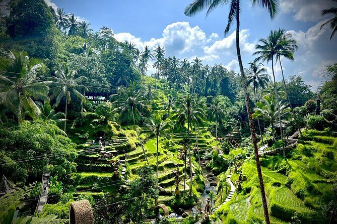 Ubud Zipline,Alas Harum combo experience with Private Car, Bali - The Experience: What to Expect
