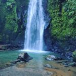 Ubud:Cultural day tour with traditional Balinese house visit - What the Reviews Say