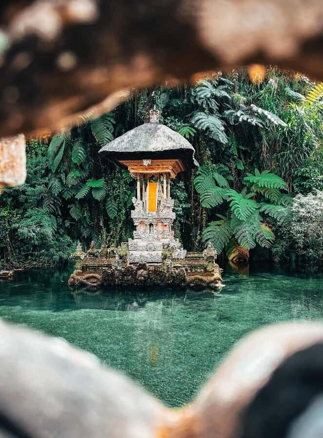 Ubud:Monkey Forest, Rice Terraces, Water Temples, Waterfalls - Transportation and Duration