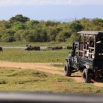 Udawalawe National Park Day trip - The Itinerary in Detail: What to Expect