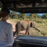 Udawalawe National Park Morning or Afternoon Game Drive - FAQ