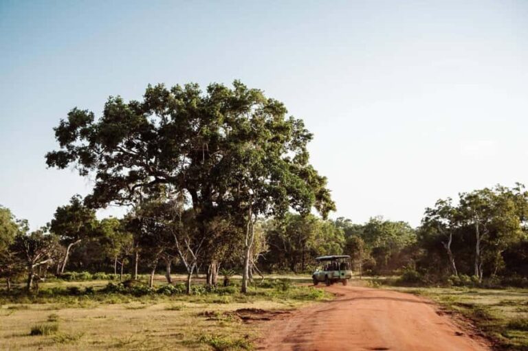 Udawalawe National Park: Private Safari From Colombo - A Typical Day in the Wild