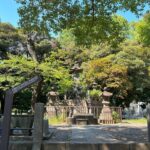 Ueno Park and Ameyoko Street Food Market Half Day Walking Tour - An In-Depth Look at the Tour Itinerary