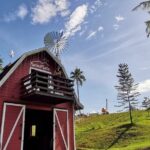 Ultimate Full Day Albay Bicol Philippines Tour with Mayon Skyline - The Authentic Experience and Who Will Love It