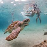 Ultimate Full-Day Private Tour: Discover all Curacao highlights - In-Depth Look at the Itinerary