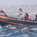 Ultimate Whale Watching Tour aboard the SuperRib: 24 People Max - Who Is This Tour Best For?