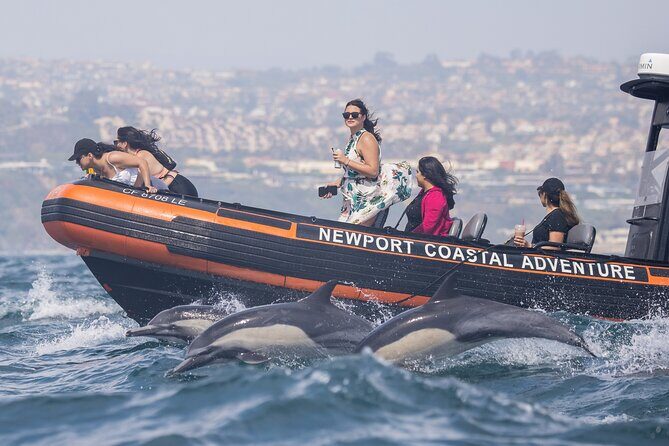 Ultimate Whale Watching Tour aboard the SuperRib: 24 People Max - Who Is This Tour Best For?