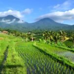 Ulun Danu Beratan, Jatiluwih, & Tanah Lot Private Tour - What Makes This Tour Stand Out