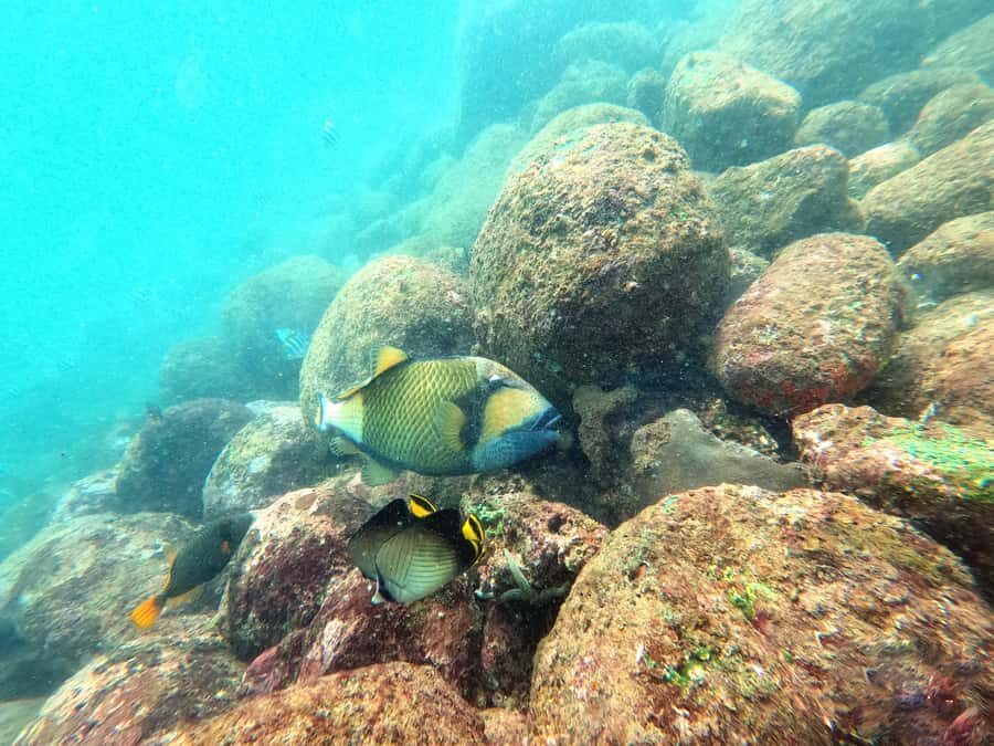 Unawatuna: Rock Island Snorkeling Tour with Equipment - Itinerary and Experience