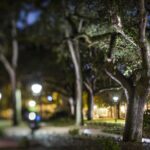 Uncensored Zombie Night-Time Walking Ghost Tour of Savannah (Ages 18+) - The Itinerary: Walking Through Savannah’s Shadows
