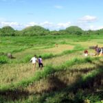Uncrowded Bohol: Tarsiers, Chocolate Hills & Local Lunch - The Cultural & Culinary Highlight