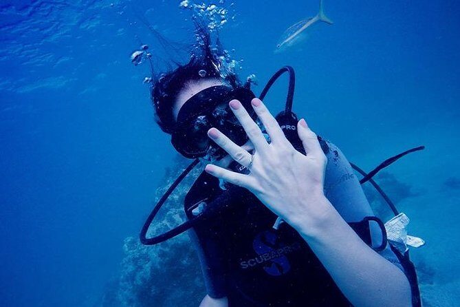 Underwater Marriage Proposal - What to Expect From The Experience