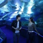 Underwater World at Pattaya Admission Ticket with Return Transfer - The Sum Up