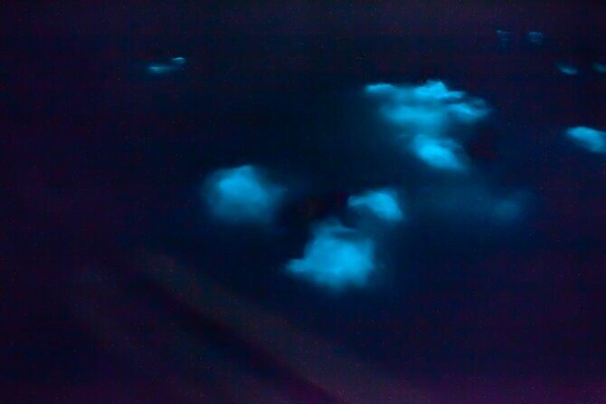Unforgettable One Day Bioluminescent Kayak Adventure in Vieques - FAQs