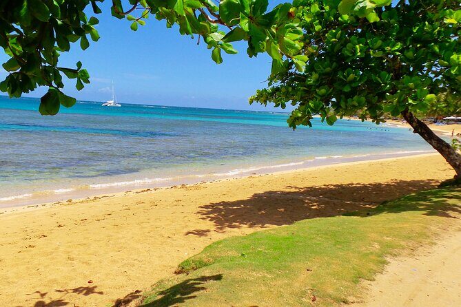 Unforgettable Week in the Dominican Republic - What Travelers Say