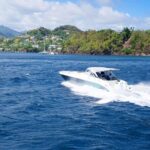 Union Island Clifton Private Tour - Scenic Cruising and Authentic Caribbean Charm