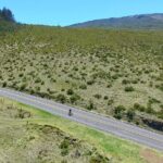 UPCOUNTRY Wednesday Haleakala Downhill Bike Ride w/Maui Sunriders - Practical Aspects to Consider