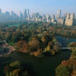 Upper and Lower Manhattan Tour - Final Thoughts: Who Should Book This Tour?