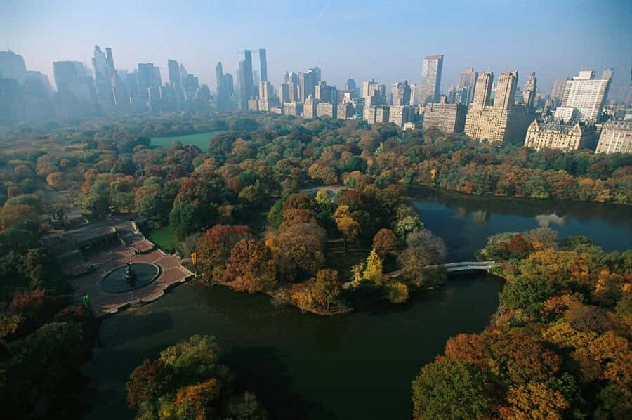 Upper and Lower Manhattan Tour - Final Thoughts: Who Should Book This Tour?