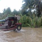 Upper Mekong River - My Tho - Ben Tre full day trip - Summing Up: Who’s This Tour For?