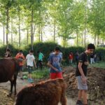 Urban Farm Trip Amritsar - Who Will Love This Tour?