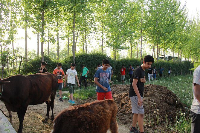 Urban Farm Trip Amritsar - Who Will Love This Tour?