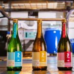 Ureshino: Gochoda Sake Brewery Tour with Tasting - The Itinerary: What You Can Expect