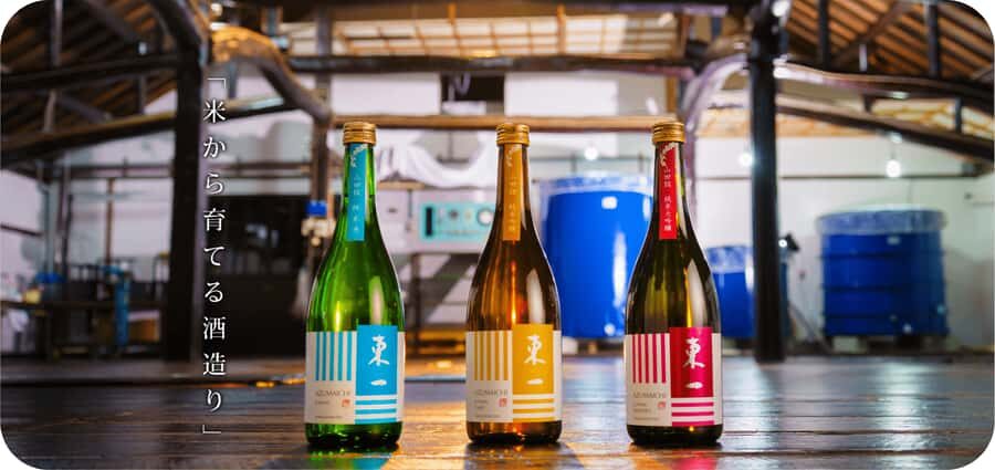 Ureshino: Gochoda Sake Brewery Tour with Tasting - The Itinerary: What You Can Expect
