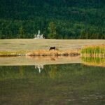 Urumqi Private Arrival Transfer: Airport to Hotel - Breaking Down the Experience: What to Expect from Your Urumqi Airport Transfer