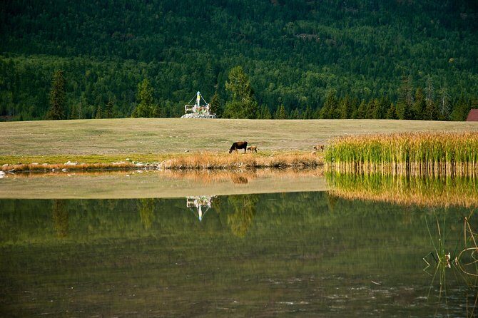 Urumqi Private Arrival Transfer: Airport to Hotel - Breaking Down the Experience: What to Expect from Your Urumqi Airport Transfer