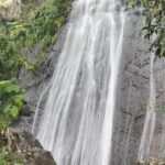 USDA El Yunque National Forest and Luquillo Beach Tour - What Travelers Are Saying