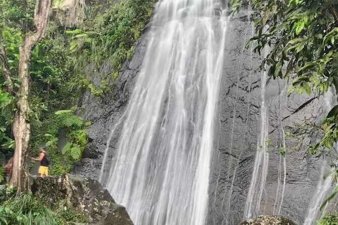 USDA El Yunque National Forest and Luquillo Beach Tour - What Travelers Are Saying