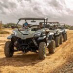 UTV Buggy and Snorkeling Tour in Willemstad Curacao - The Sum Up
