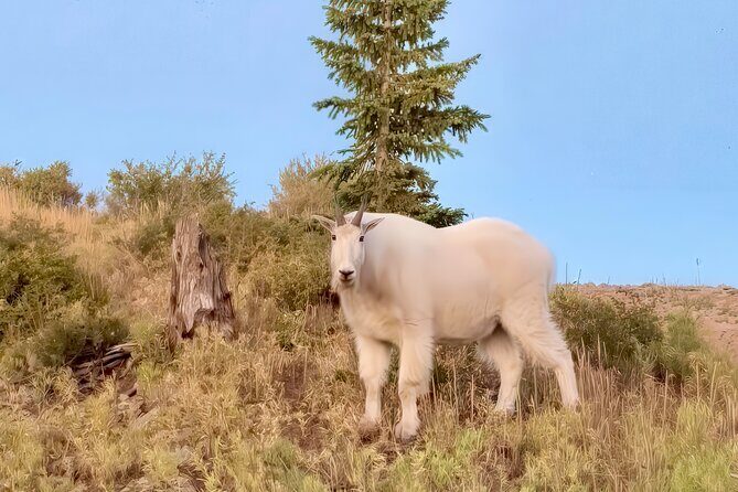 UTV Wilderness Experience in The Uinta Mountains - Who Will Love This Experience?