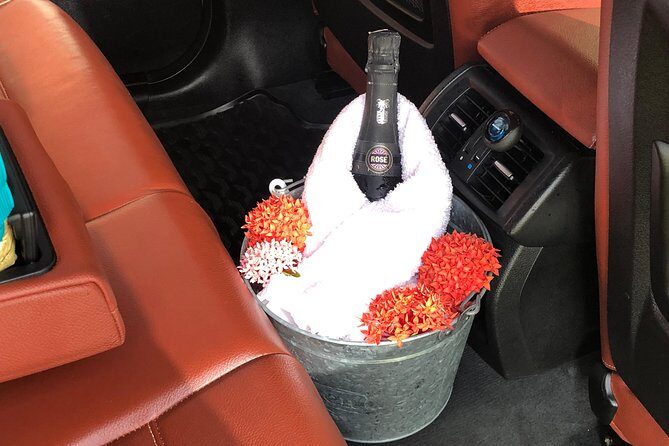 UVF Luxury Transfers & Fast Track VIP Service to Sugar Beach Resort (Roundtrip) - The Value of a Fast Track & Luxury Transfer