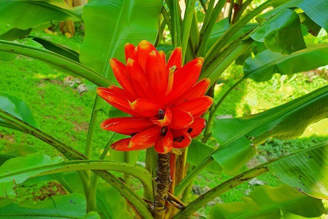 V.I.P Green escape 2-Zoo de Martinique - Customizable, Convenient, and Comfortable