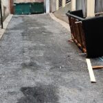 Valentine's Day Garbage and Rats in NYC Walking Tour - What You’ll Gain from the Tour