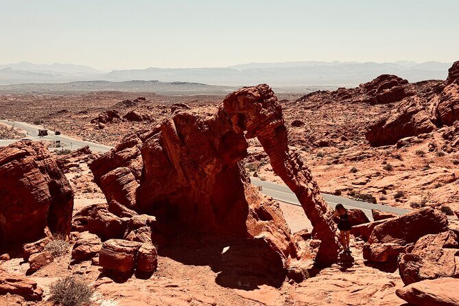 Valley of fire and Mojave Desert Tour from Las Vegas - What the Reviews Say