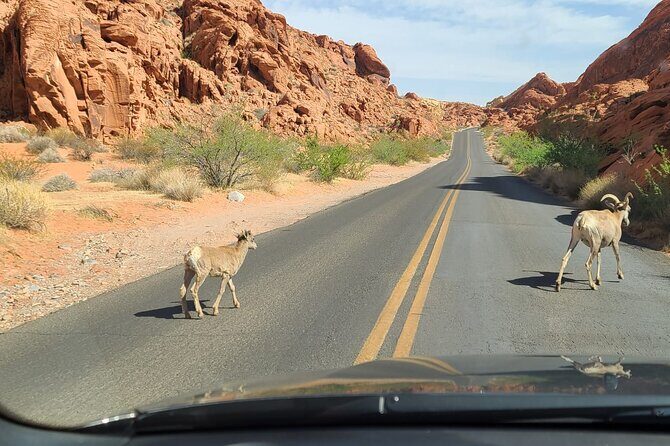 Valley of Fire and Red Rock Canyon - The Sum Up