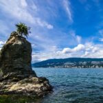 Vancouver Aquarium Entry & Digital Stanley Park Walk - Who Should Consider This Experience?